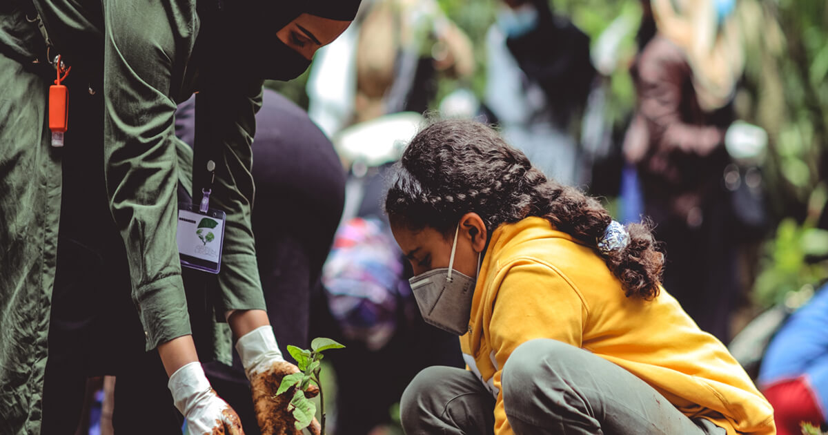 Insights | Fair Futures